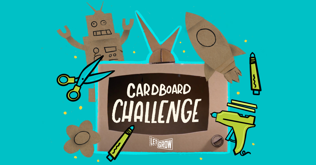 Enter the Summer Cardboard Challenge from Let Grow