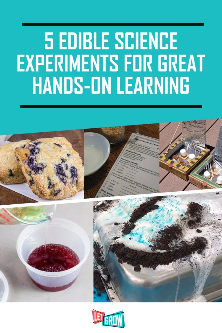 5 Edible Science Experiments for Hands-On Learning