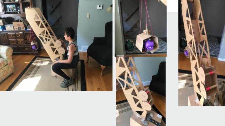 Let Grow Announces the Winners of Their Cardboard Contest