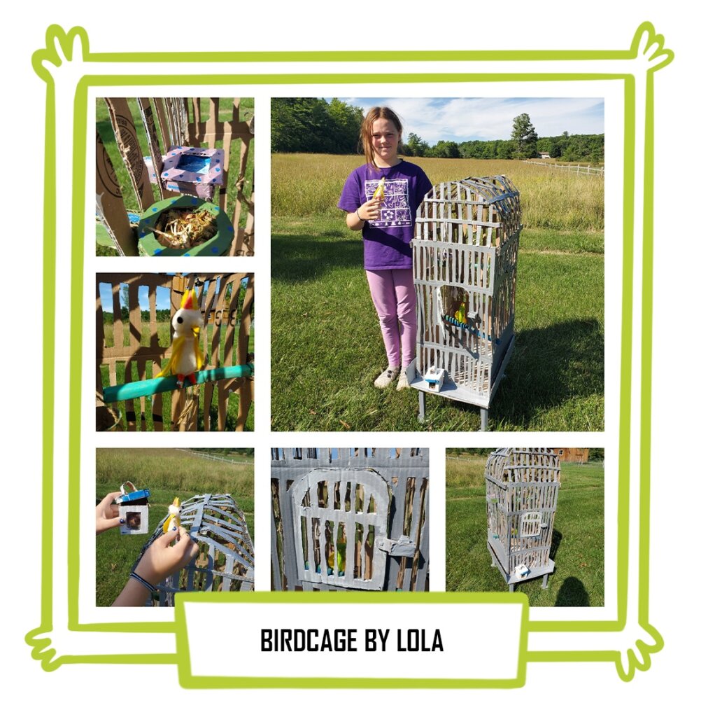 Let Grow Announces the Winners of Their Cardboard Contest