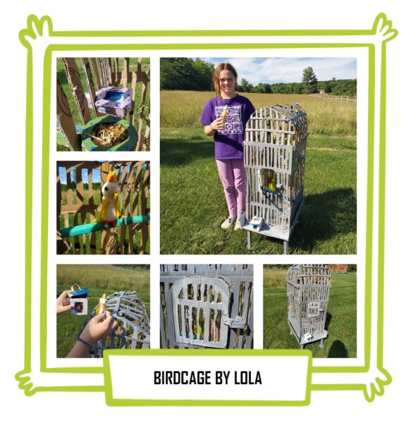 Let Grow Announces the Winners of Their Cardboard Contest