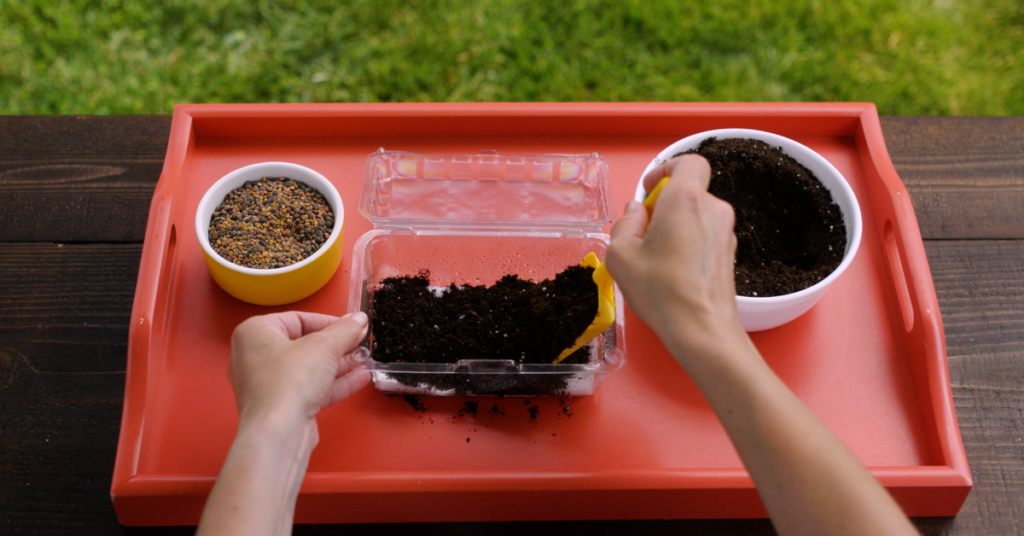 Growing Microgreens in a Genius Way to Get Kids Gardening