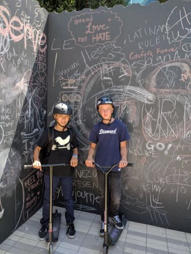 The College Essay of Extraordinary Finn Fox (RIP) - Let Grow